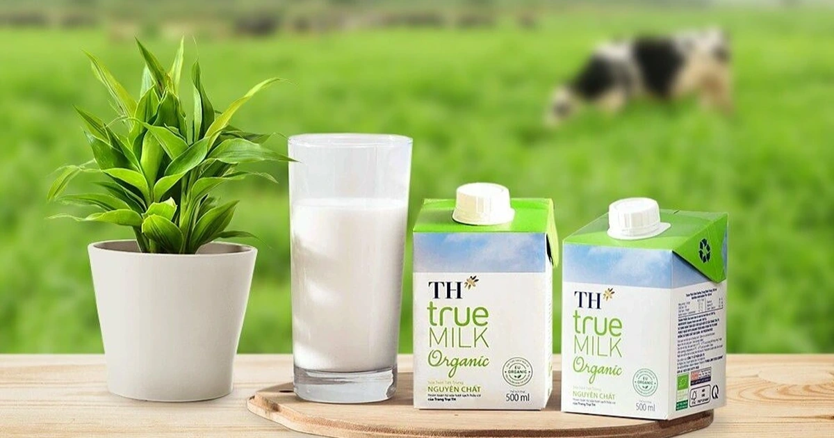 Advanced Chatbot Tools